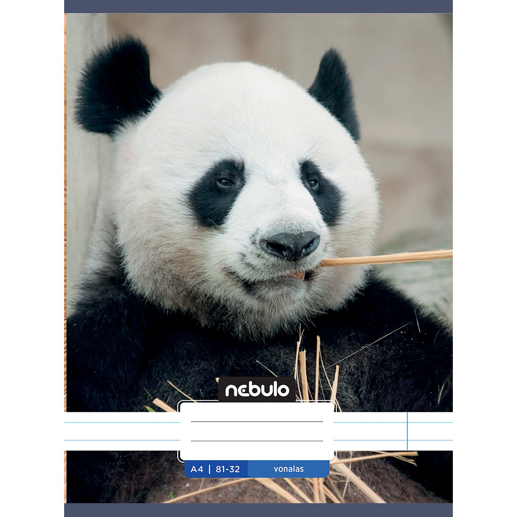 Nebulo Panda mintás vonalas füzet 81-32 A/4 vásárlás a Játékshopban